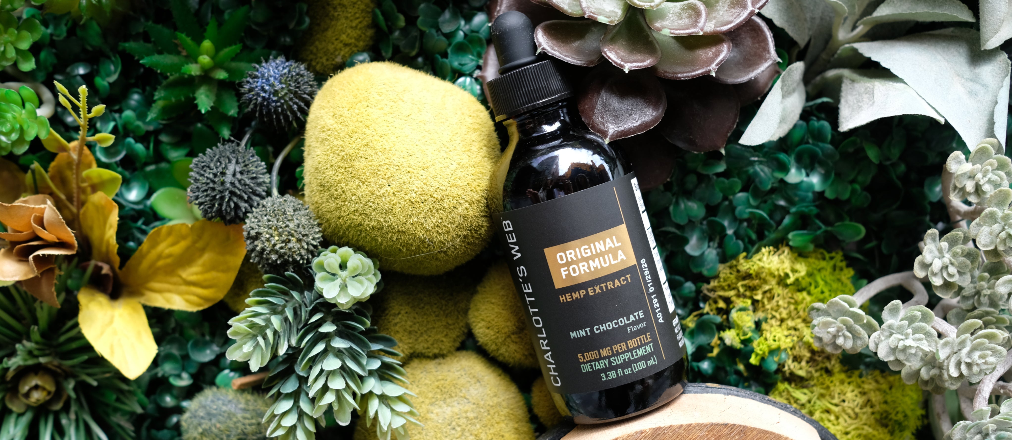 CBD 101 – Charlotte’s Web CBD & Botanicals